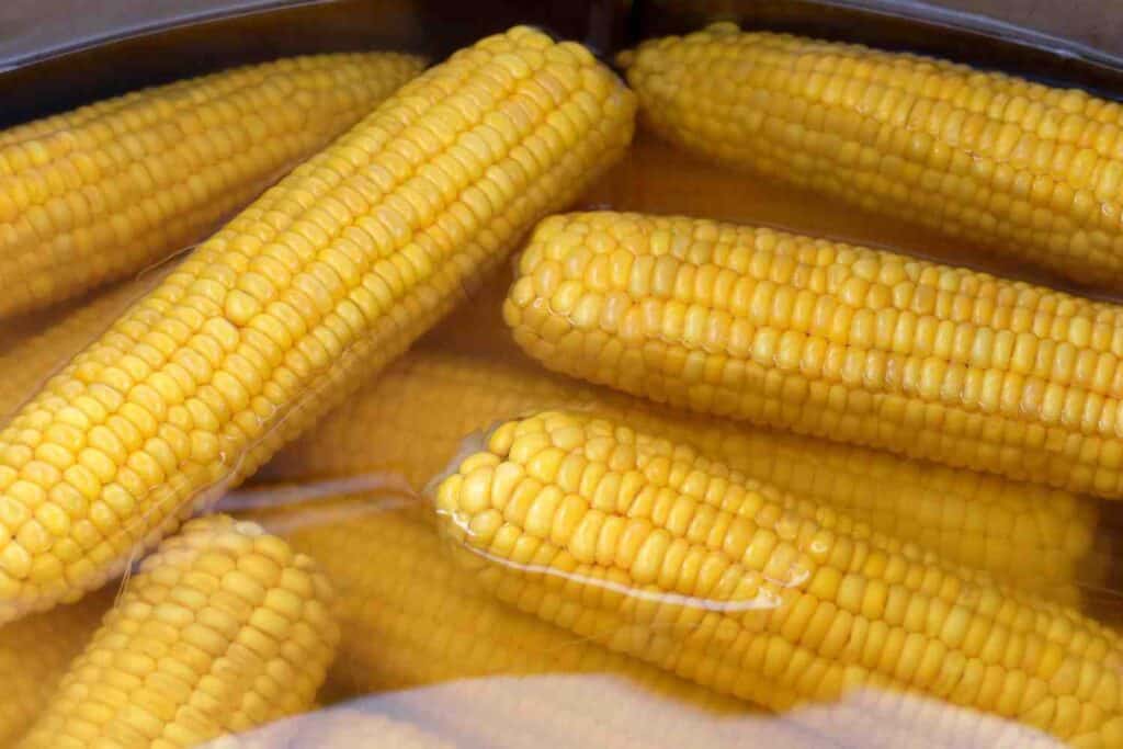 Cooler Corn Recipe - BluntCook