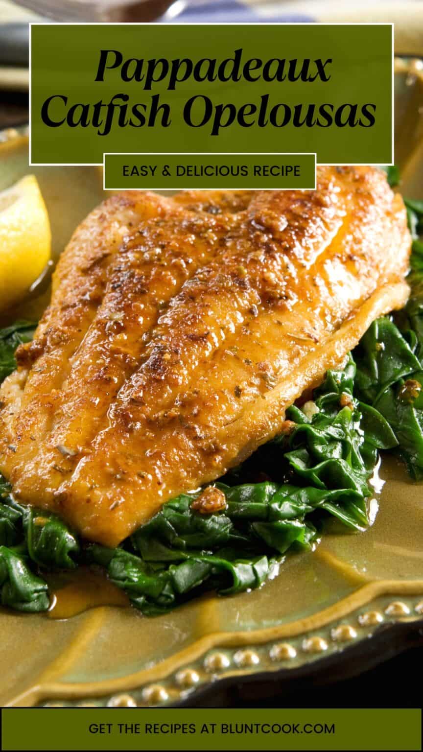 Pappadeaux Catfish Opelousas Recipe - BluntCook